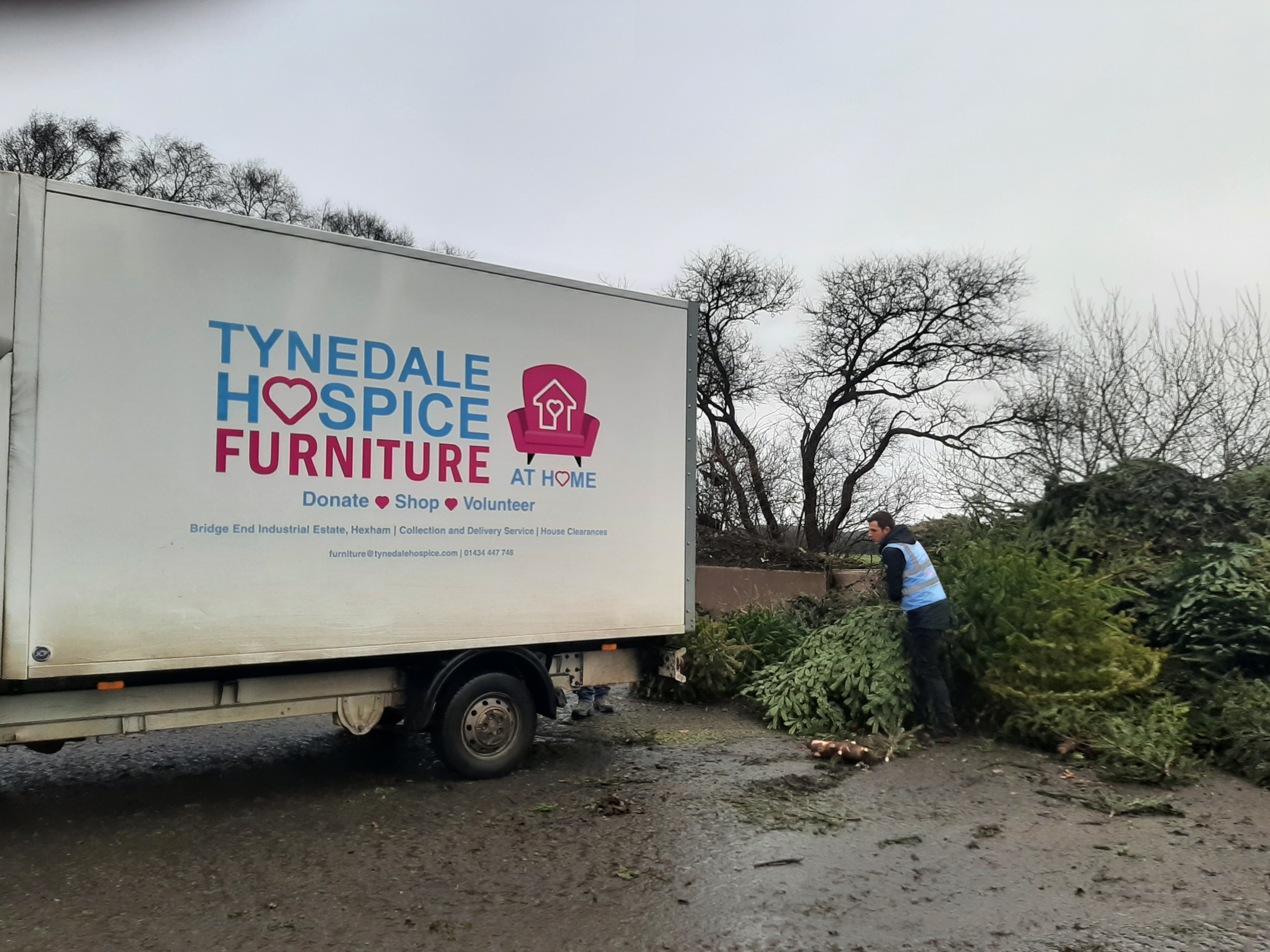 tynedale movers